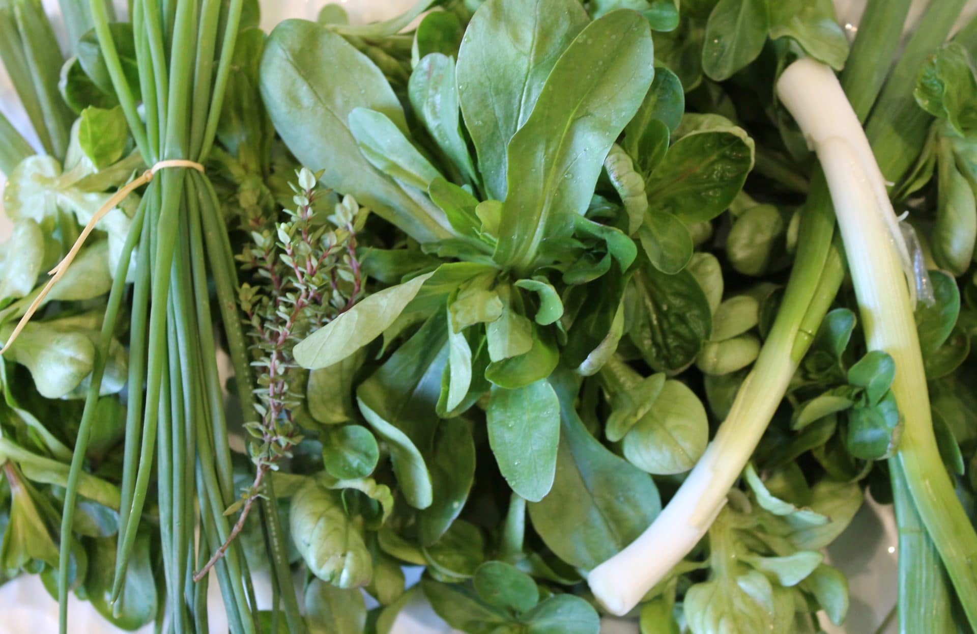 L'omelette à l'ail vert - Un jardin dans le Marais poitevinUn jardin ...