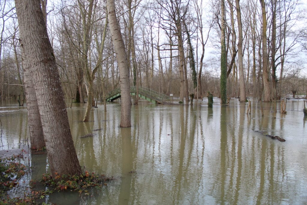 Quoi de neuf au jardin ? - Un jardin dans le Marais poitevinUn jardin ...